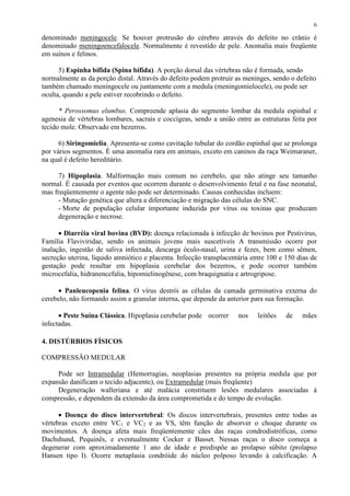 Sistema Nervoso | PDF