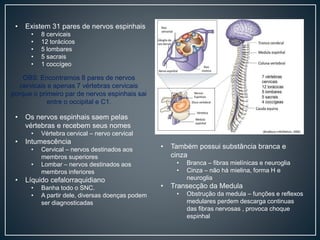 Sistema Nervoso | PPTX