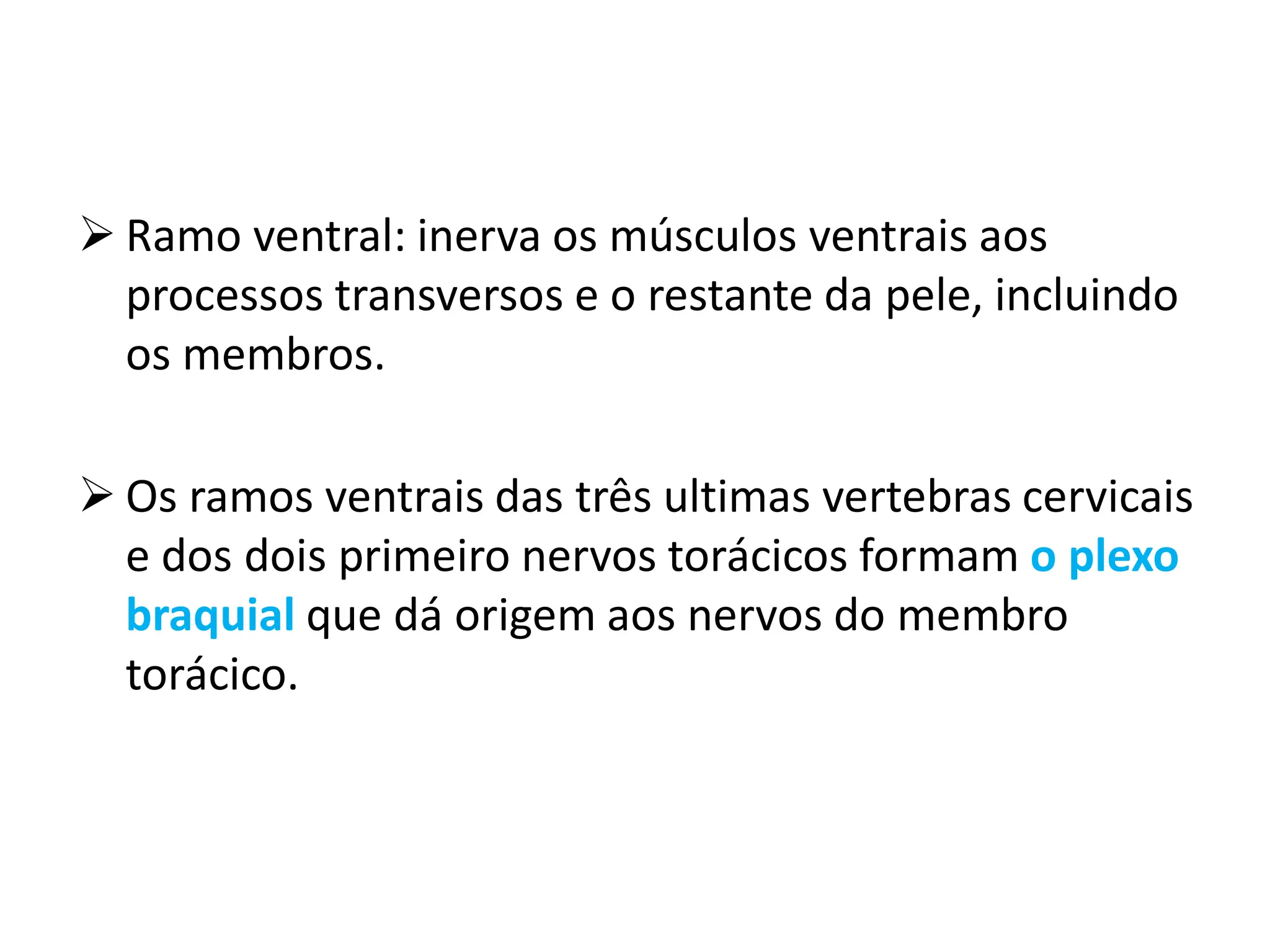 Sistema Nervoso: Plexo Braquial e SNP Da Parede Torácica | PPT