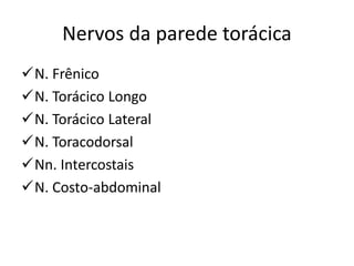 Sistema Nervoso: Plexo Braquial e SNP Da Parede Torácica | PDF