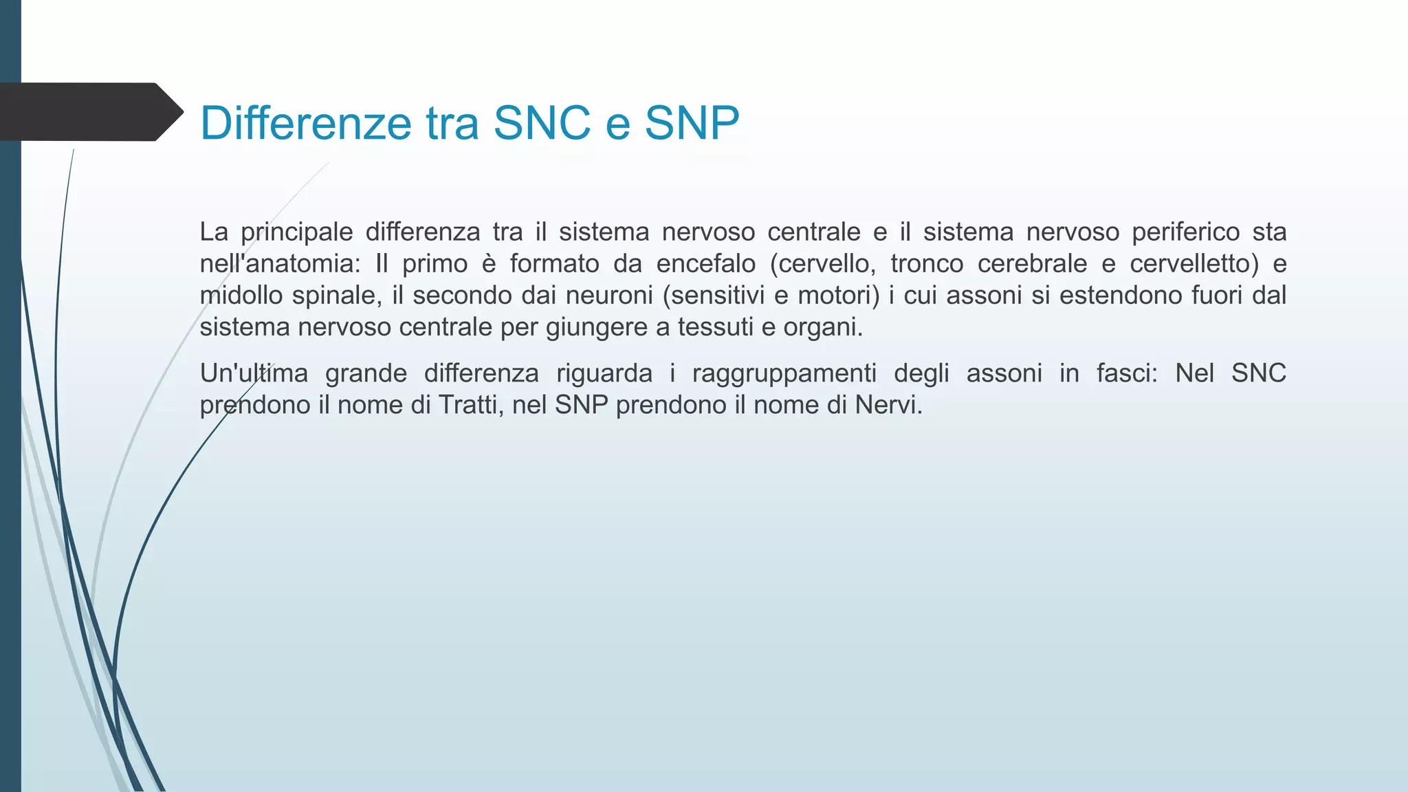 Sistema nervoso centrale | PPTX