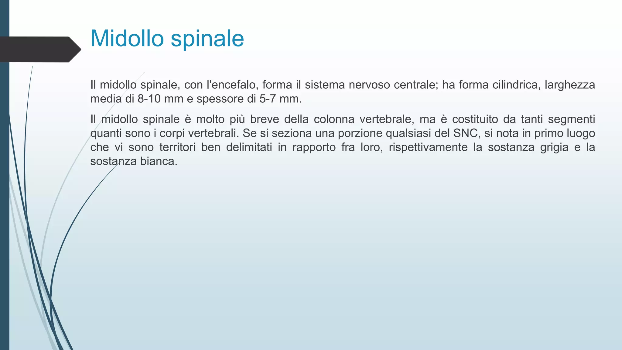 Sistema nervoso centrale | PPTX