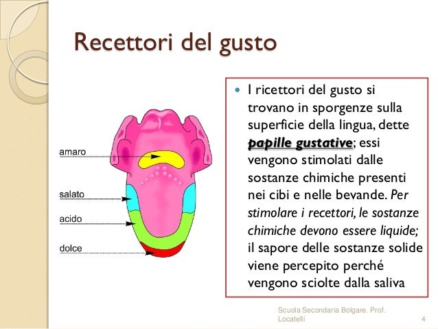 Sistema nervoso ed endocrino