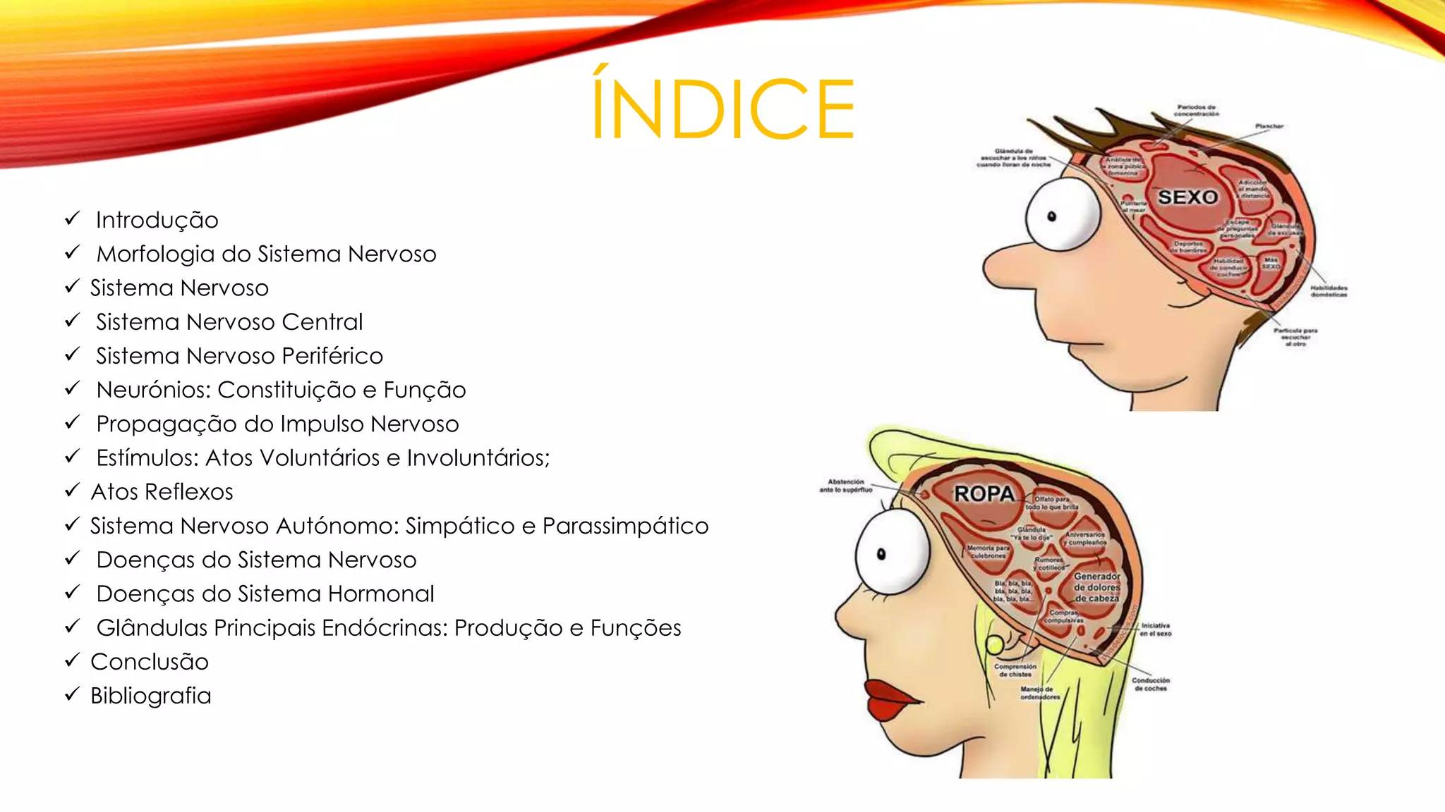 Sistema Neuro-Hormonal | PPT