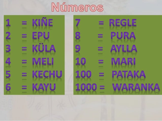 Sistema numeración Mapuche para niños