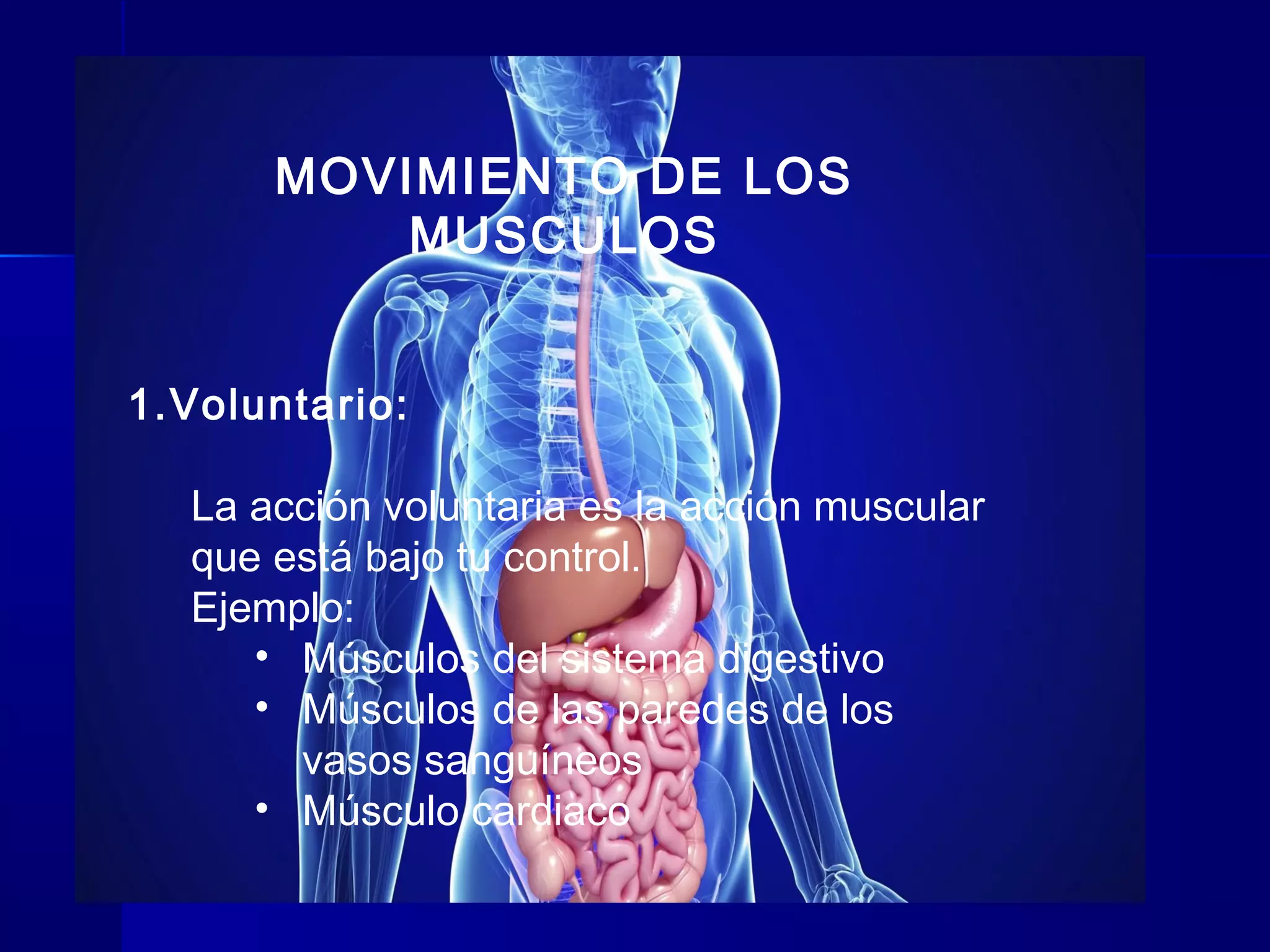 Sistema oseo y muscular | PPT
