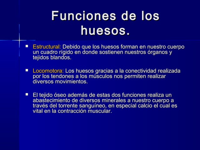 Sistema oseo y muscular | PPT