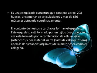 Sistema oseo muscular | PPTX