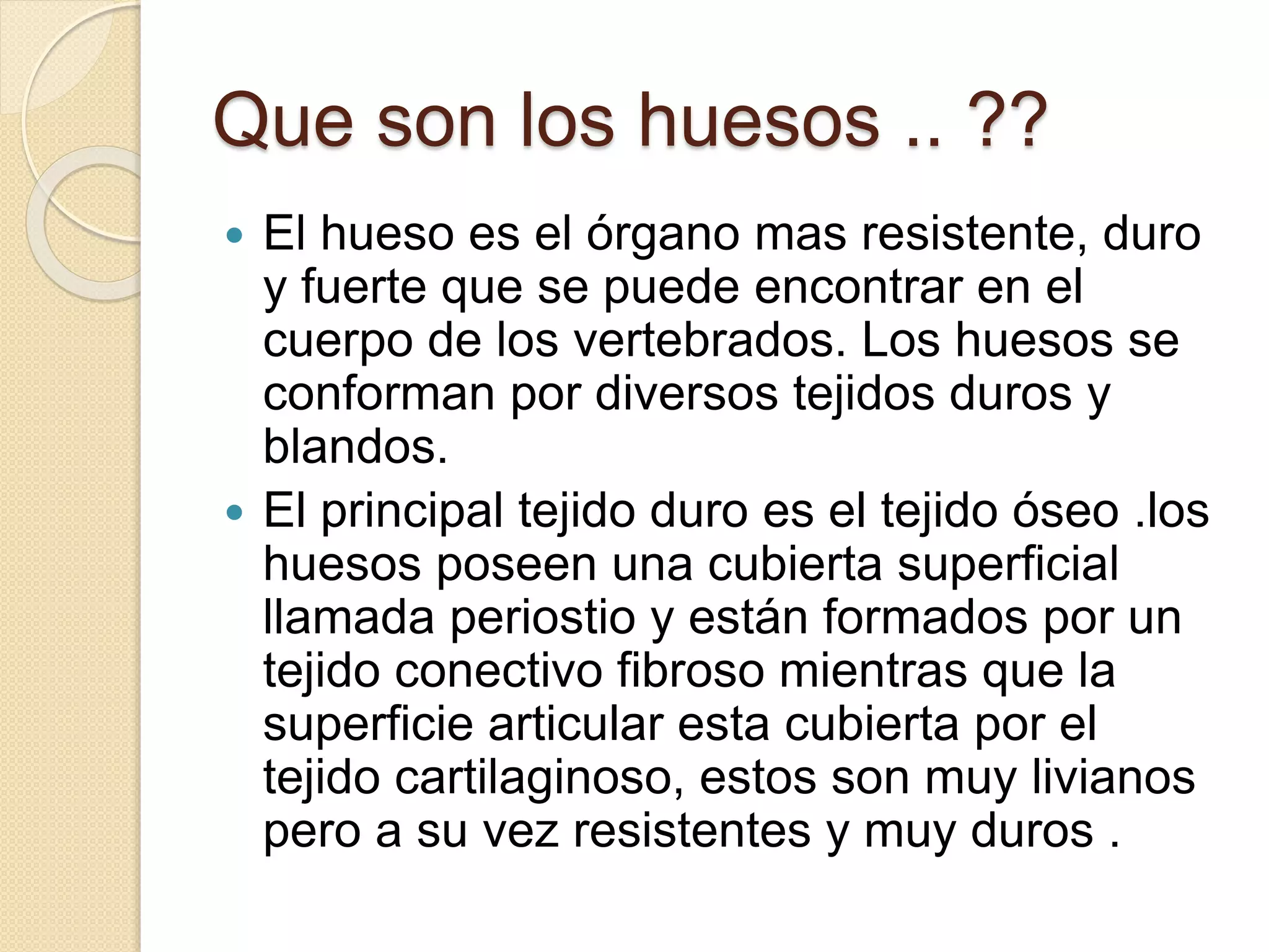 Sistema oseo muscular copia | PPT