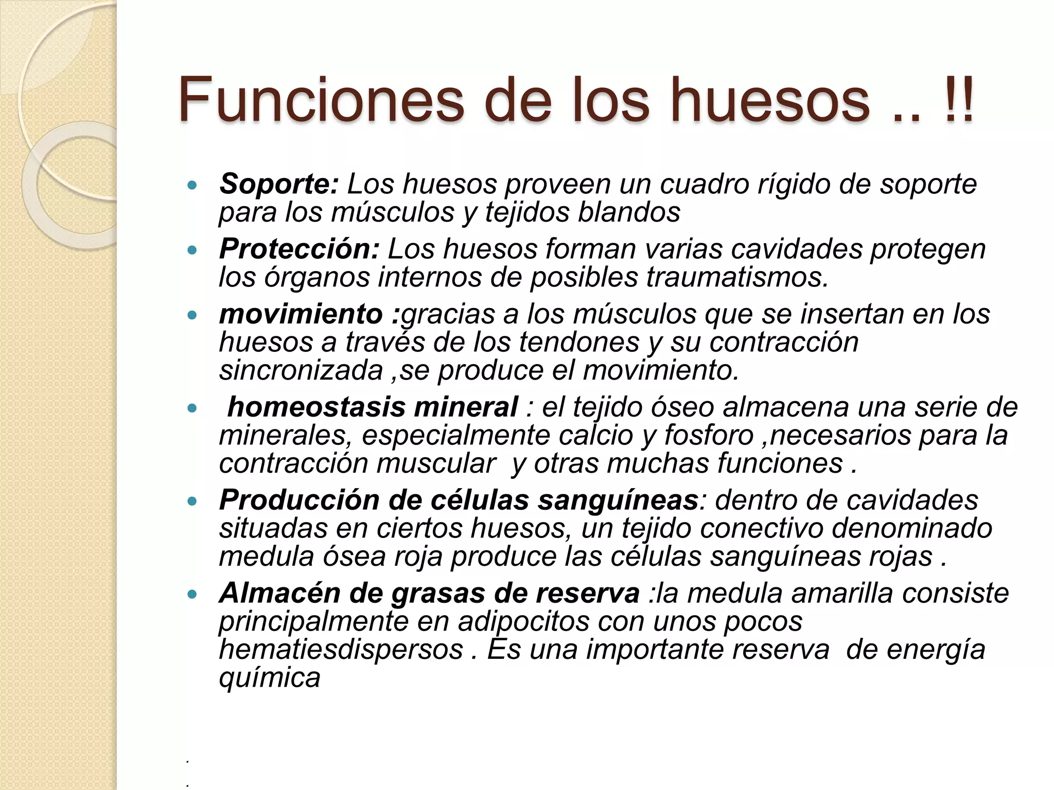 Sistema oseo muscular copia | PPT