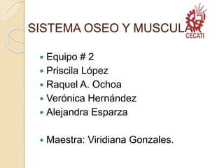 Sistema oseo muscular copia | PPTX