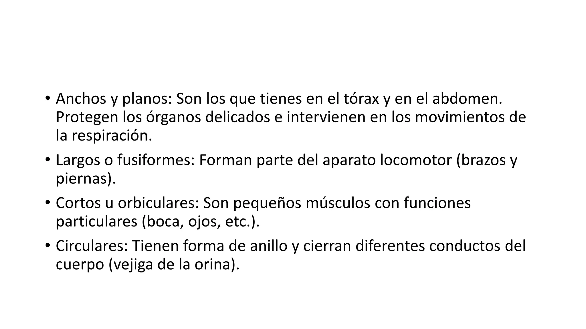 SISTEMA OSEO Y MUSCULAR.pptx