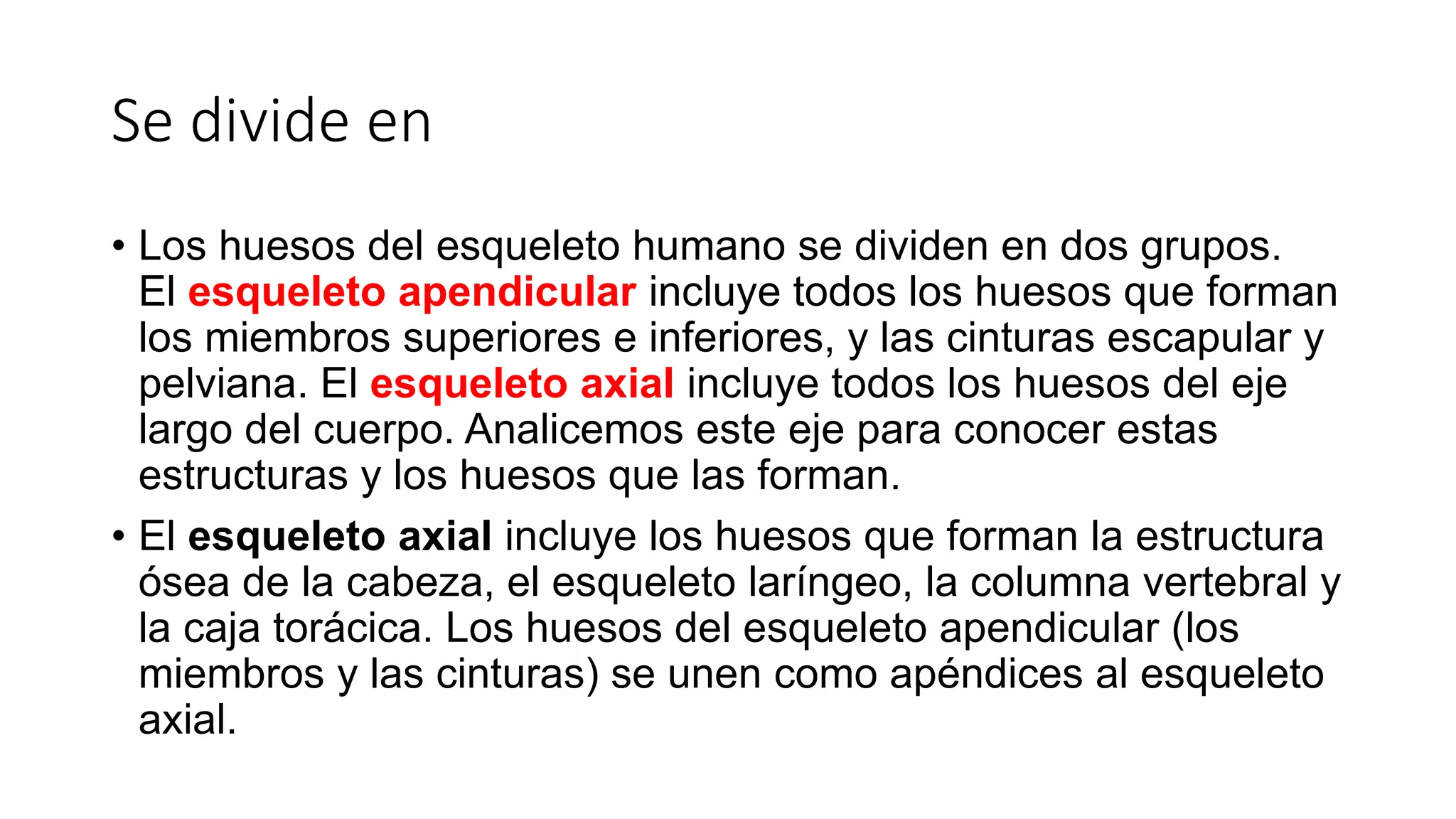 SISTEMA OSEO Y MUSCULAR.pptx