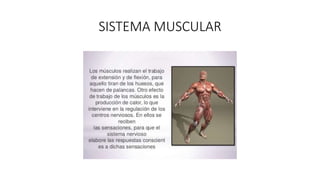 SISTEMA OSEO Y MUSCULAR.pptx