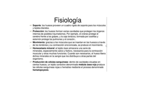 SISTEMA OSEO Y MUSCULAR.pptx