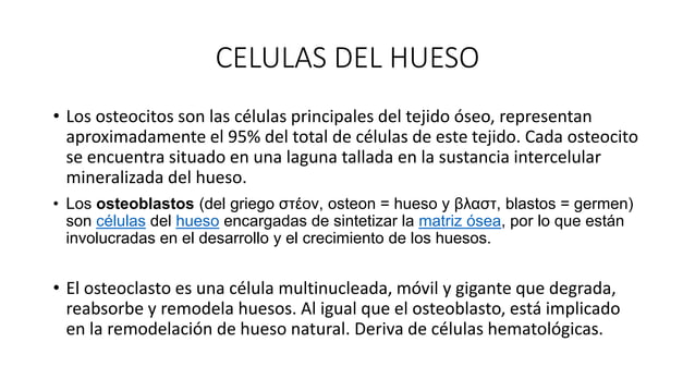 SISTEMA OSEO Y MUSCULAR.pptx