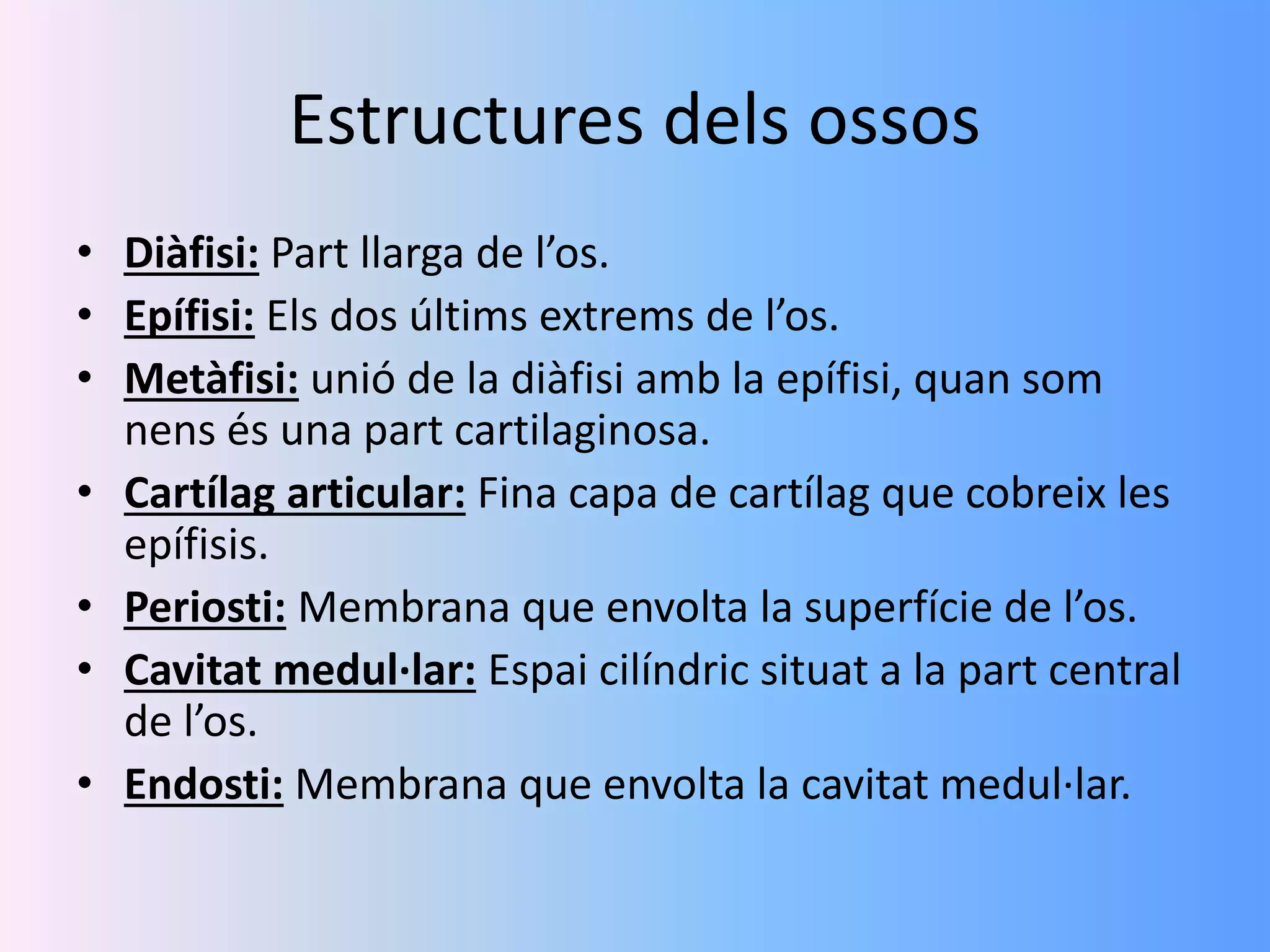 Sistema ossi | PPTX