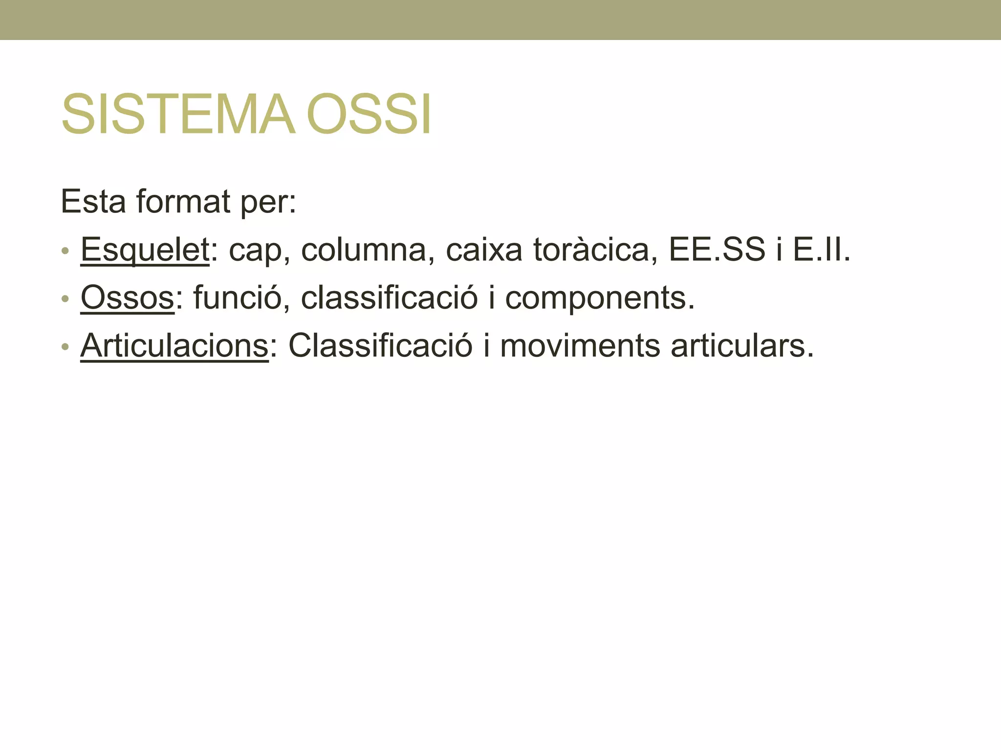 Sistema ossi | PPT