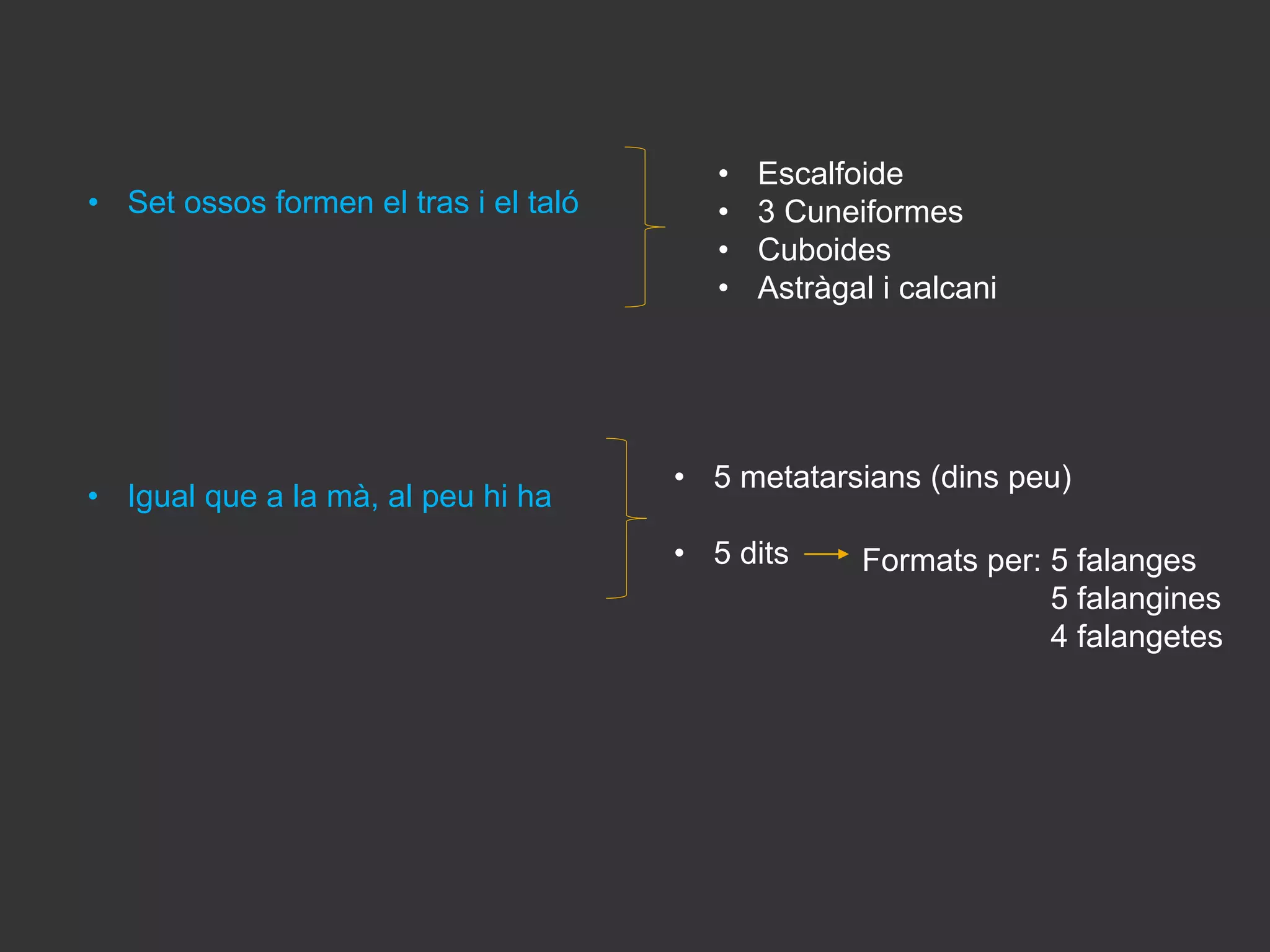 Sistema ossi (3). (extremitats) | PPTX