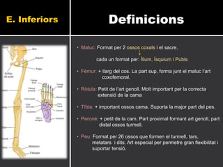 Sistema ossi (3). (extremitats) | PPTX