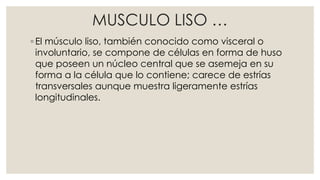 Sistema osteo muscular | PPTX