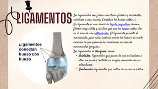 Sistema Osteo Articular.pptx