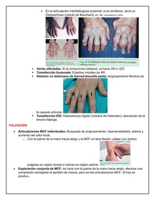 SISTEMA OSTEOARTICULOMUSCULAR, examen general | PDF