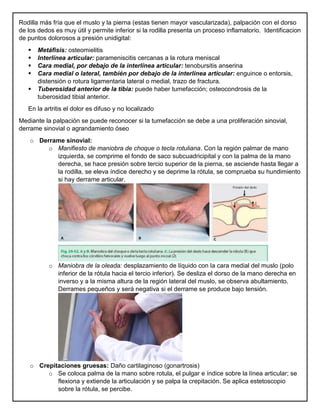 SISTEMA OSTEOARTICULOMUSCULAR, examen general | PDF