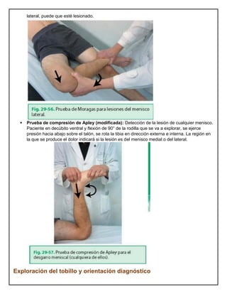SISTEMA OSTEOARTICULOMUSCULAR, examen general | PDF