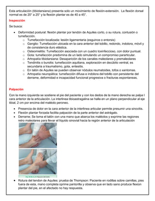 SISTEMA OSTEOARTICULOMUSCULAR, examen general | PDF