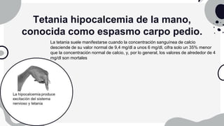 sistema pancrea, endocrino.pptx