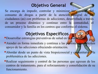 Sistema Público Nacional Para El Tratamiento De Las Adicciones Pptx