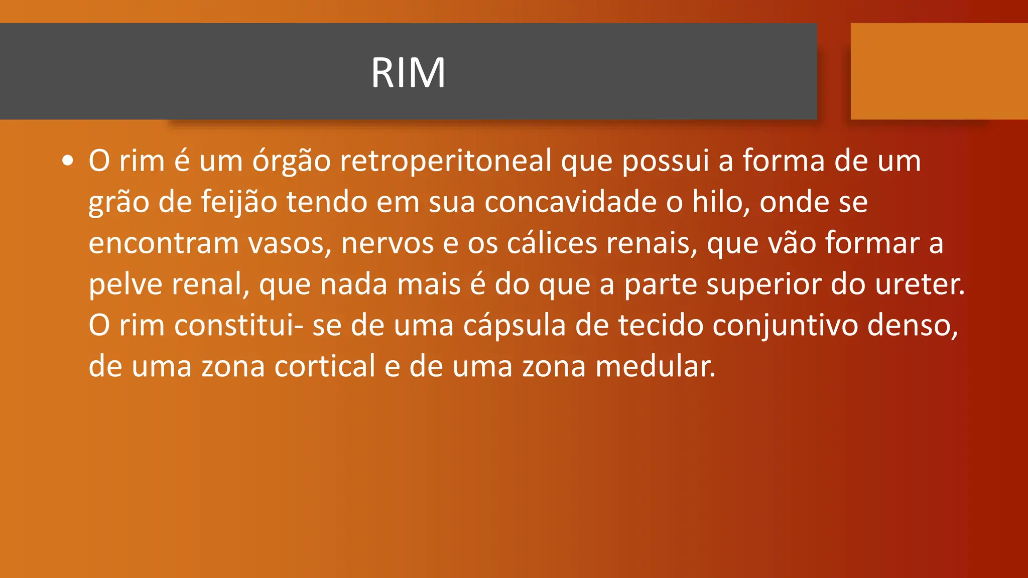 Sistema Renal PRINCIPAIS ESTRUTURAS.pptx