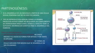 Sistema reproductivo | PPTX