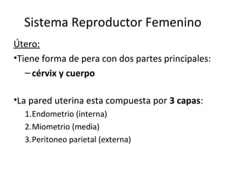 Sistema Reproductor | PPT