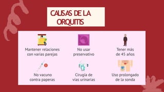 La Orquitis sistema reproductor masculino | PPTX