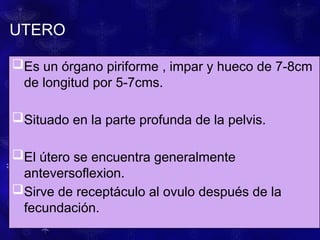 SISTEMA REPRODUCTOR FEMENINO-ANATOMIA FUNCIONAL CLASE 13.pptx