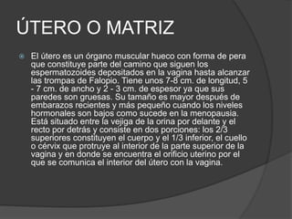 SISTEMA REPRODUCTOR FEMENINO | PPTX