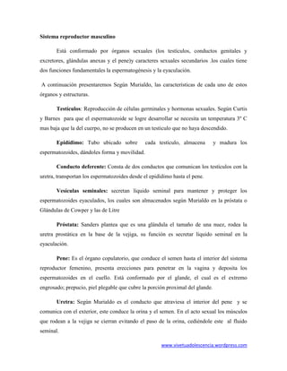 Sistema reproductor humano | PDF