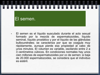 Anatomía del Sistema reproductor masculino | PPT