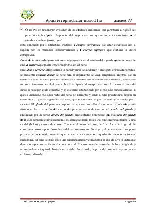 Sistema reproductor masculino | DOC