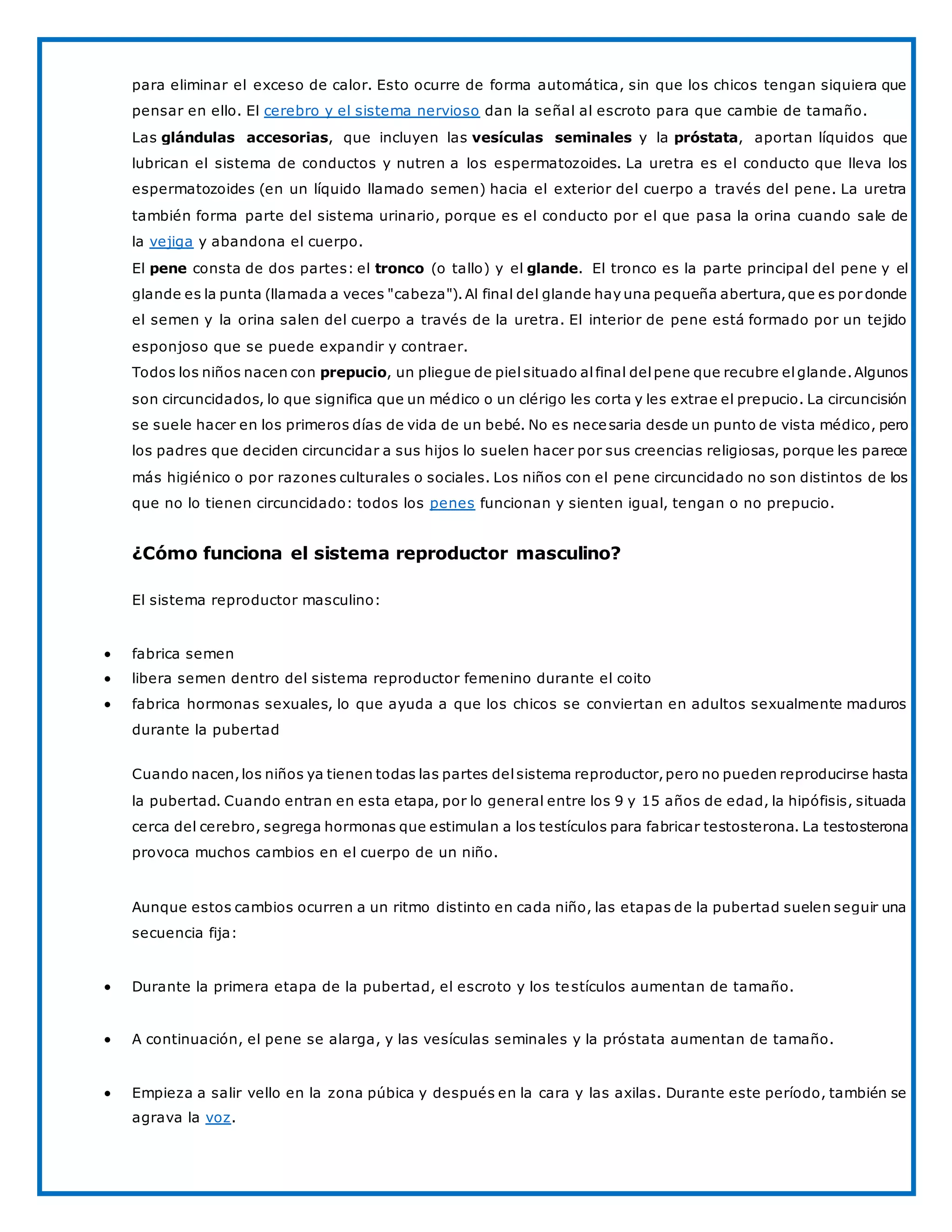 Sistema reproductor masculino | DOCX