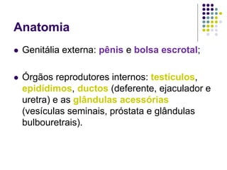 SISTEMAS REPRODUTIVOS | PPTX