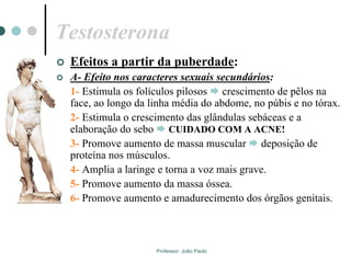 Sistema reprodutor masculino | PDF