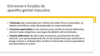 Sistema reprodutor masculino e feminino.pptx