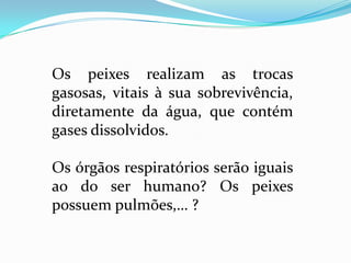 Sistema resp. dos peixes | PPTX