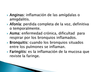 Sistema respiratorio | PPTX