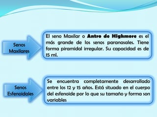Sistema respiratorio | PPTX