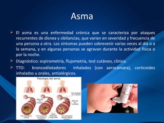 Sistema respiratorio | PPT