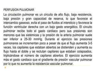 Sistema respiratorio | PPT